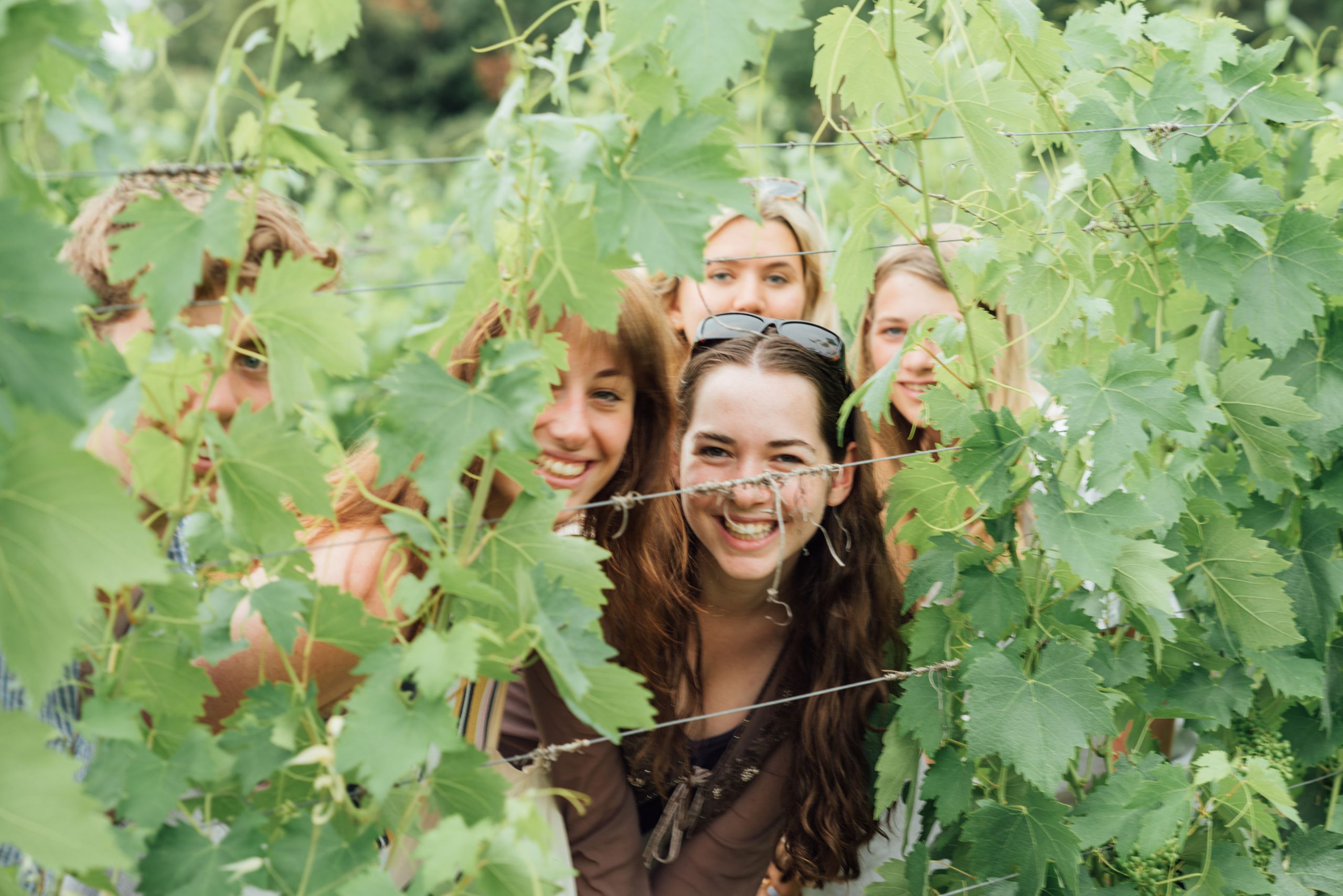 Spring Italy Course | Art History Abroad